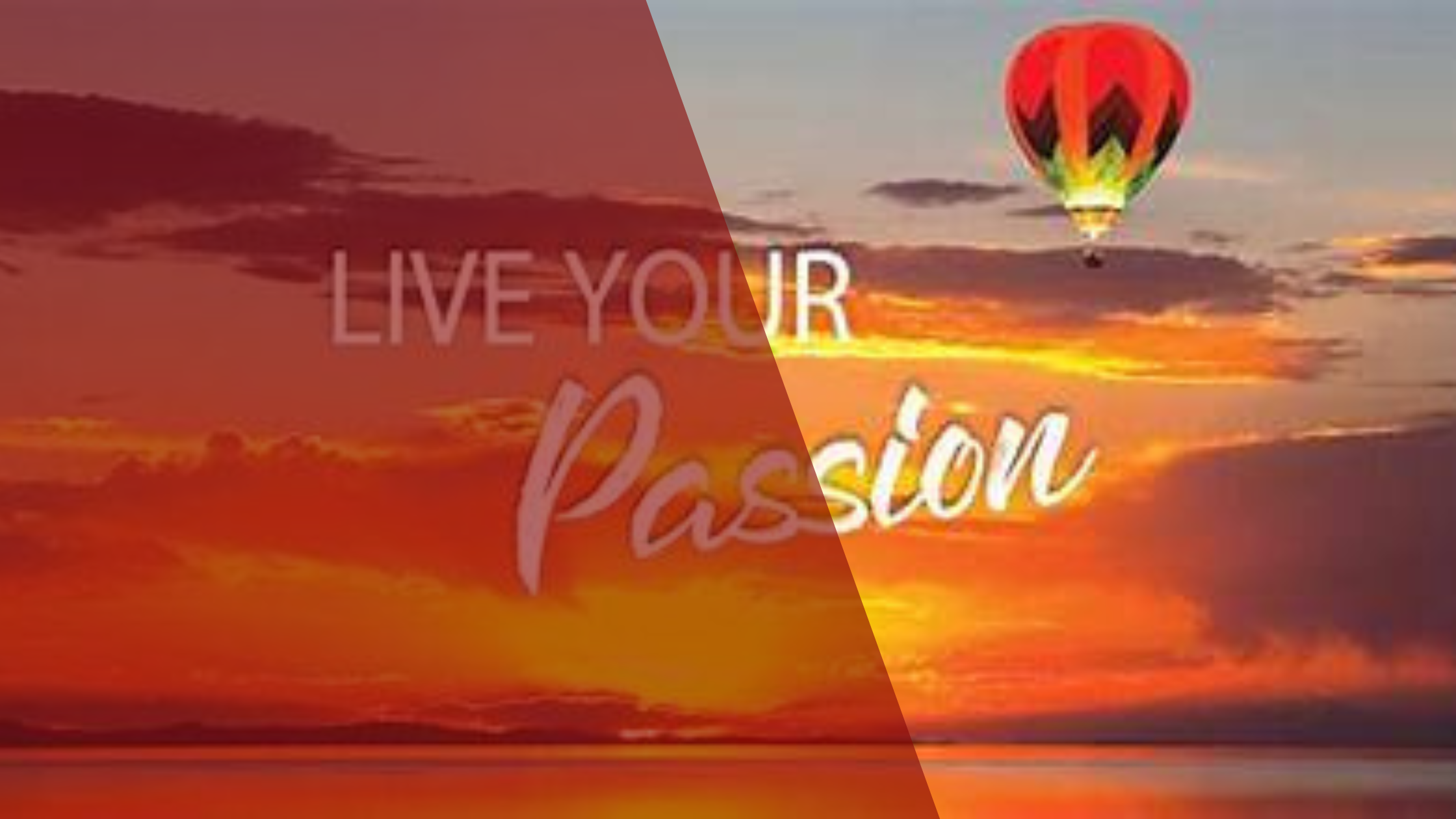 Find Your Passion